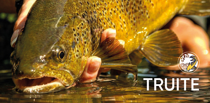 Magasin de pêche | Pacific Pêche