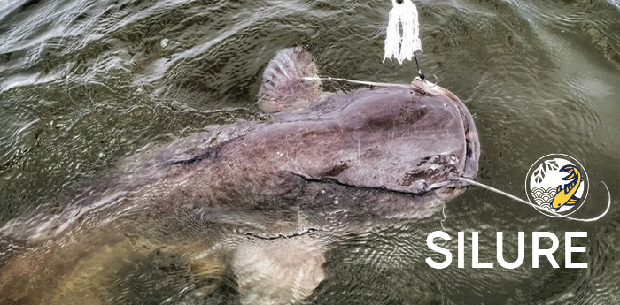 Destockage | Pacific Pêche